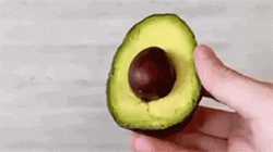 Avocado Fruit Seed Loop GIF | GIFDB.com