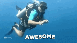 Awesome Scuba Diving GIF | GIFDB.com