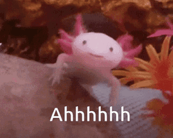 Axolotl Meme Screaming Ahhhhh GIF | GIFDB.com