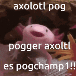 Axotol Pog Reaction GIF | GIFDB.com