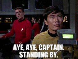 Aye Aye Captain Standing By GIF | GIFDB.com