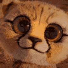 Baby Cheetah Blinking Its Eyes GIF | GIFDB.com