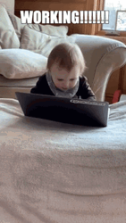 Baby Doing Fast Typing Meme GIF | GIFDB.com