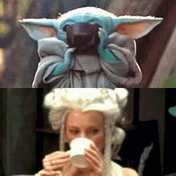 Baby Yoda Split Screen What Meme GIF | GIFDB.com