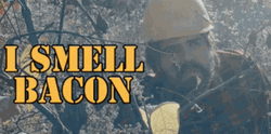 I Smell Bacon GIF | GIFDB.com