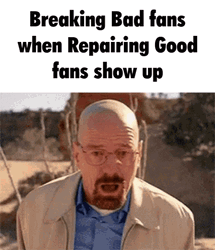 Bad Fans Breakin Good One GIF | GIFDB.com