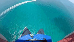 Bahamas Parasailing GIF | GIFDB.com