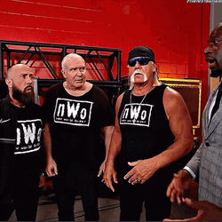 Bailey Interrupts Razor Ramon And Nwo GIF | GIFDB.com