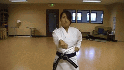 Basic Karate Technique GIF | GIFDB.com