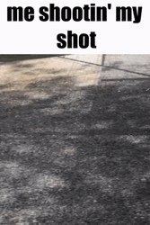 Basketball Shoot Your Shot Now Meme GIF | GIFDB.com