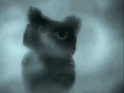 Bats In The Fog GIF | GIFDB.com