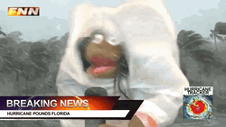 Batten Down The Hatches Fail Puppet Reporter GIF | GIFDB.com