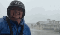Batten Down The Hatches Florida Wind GIF | GIFDB.com