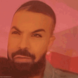 Bbl Drake Filtered Brows GIF | GIFDB.com