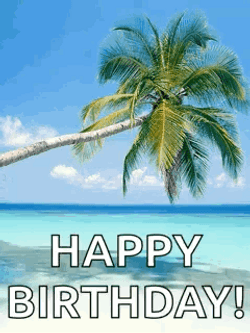 Beach Birthday Greetings GIF | GIFDB.com