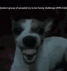 Beagle Dog Laughing GIF | GIFDB.com