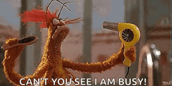Beaker Blow Drying His Hair Beaker Muppets GIF | GIFDB.com