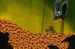 Beans Swimming Pool Scrooge Mcduck Dive GIF | GIFDB.com