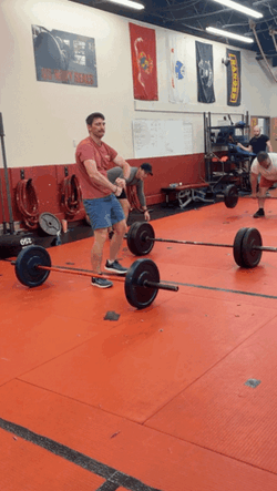 Beast Mode Gym Guy GIF | GIFDB.com