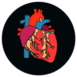 Beating Human Heart Colorful Animation GIF | GIFDB.com