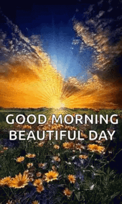 Beautiful Good Morning Garden Sunrise GIF | GIFDB.com