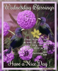 Beautiful Good Morning Wednesday Blessings Proverbs GIF | GIFDB.com