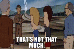 Beavis Thats Not That Much GIF | GIFDB.com