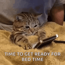 Bedtime GIFs | GIFDB.com