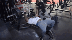 Bench Press On Gym GIF | GIFDB.com