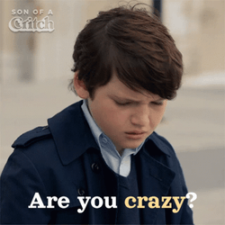 Benjamin Evan Are You Crazy GIF | GIFDB.com