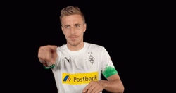 Berhalter Patrick Herrmann Go Everywhere GIF | GIFDB.com