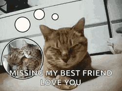 Best Friends Missing You Love You GIF | GIFDB.com