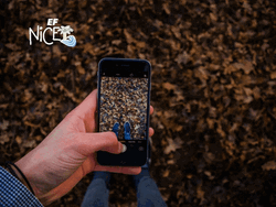 Best Smartphone Texting German Message GIF | GIFDB.com