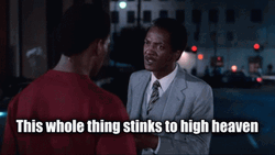 Beverly Hills Cop This Whole Thing Stinks GIF | GIFDB.com