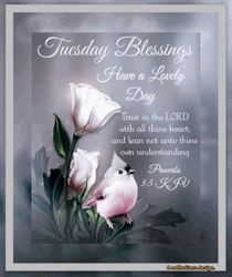 Bible Verse Good Morning Tuesday Blessings GIF | GIFDB.com
