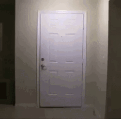 Big Bird 384 X 376 Gif GIF | GIFDB.com