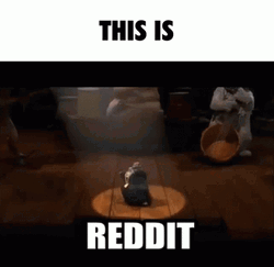 Big Chungus Dancing This Is Reddit GIF | GIFDB.com