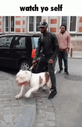 Big Dawg Watch You Self GIF | GIFDB.com