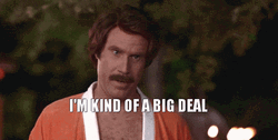 Big Deal Will Ferrell GIF | GIFDB.com