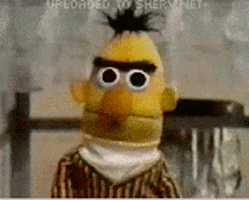 Big Eyes Bert Watching You GIF | GIFDB.com