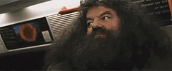 Rubeus Hagrid GIFs | GIFDB.com
