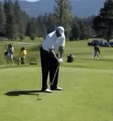 Big Man Golf Swing GIF | GIFDB.com