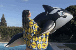 Big Orca Inflatable GIF | GIFDB.com