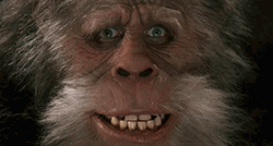 Bigfoot Having A Makeover Cost GIF | GIFDB.com