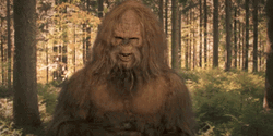 Bigfoot Laughing Hysterical GIF | GIFDB.com
