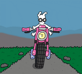 Biking Dog Enjoy Pink Motorcycle GIF | GIFDB.com