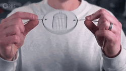 Bird And Cage Thaumatrope Optical Illusion GIF | GIFDB.com