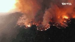 Birds Eye View Scorching Wildfire GIF | GIFDB.com