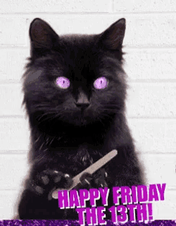 Black Cat Friday Gif GIF | GIFDB.com