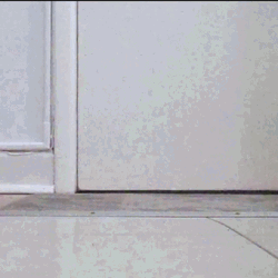 Black Cat Scared Run GIF | GIFDB.com